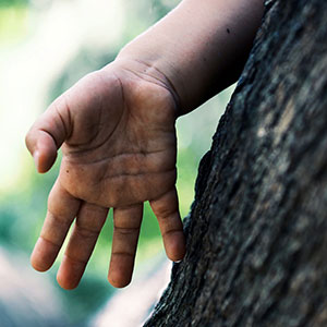 Golden Thread Process Online Workshops - Wu Wei Wisdom