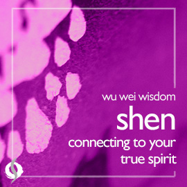 Teaching Album Gift Set - Wu Wei Wisdom