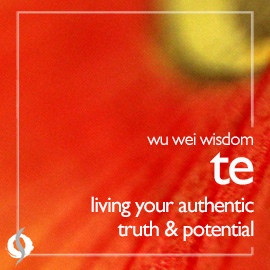 Teaching Album Gift Set - Wu Wei Wisdom