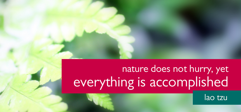 nature does not hurry, yet everything is accomplished - Wu Wei Wisdom